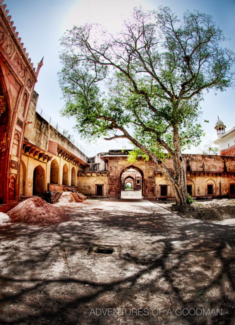 How I Crashed a Tuk Tuk ... and other adventures in Agra » Greg Goodman ...